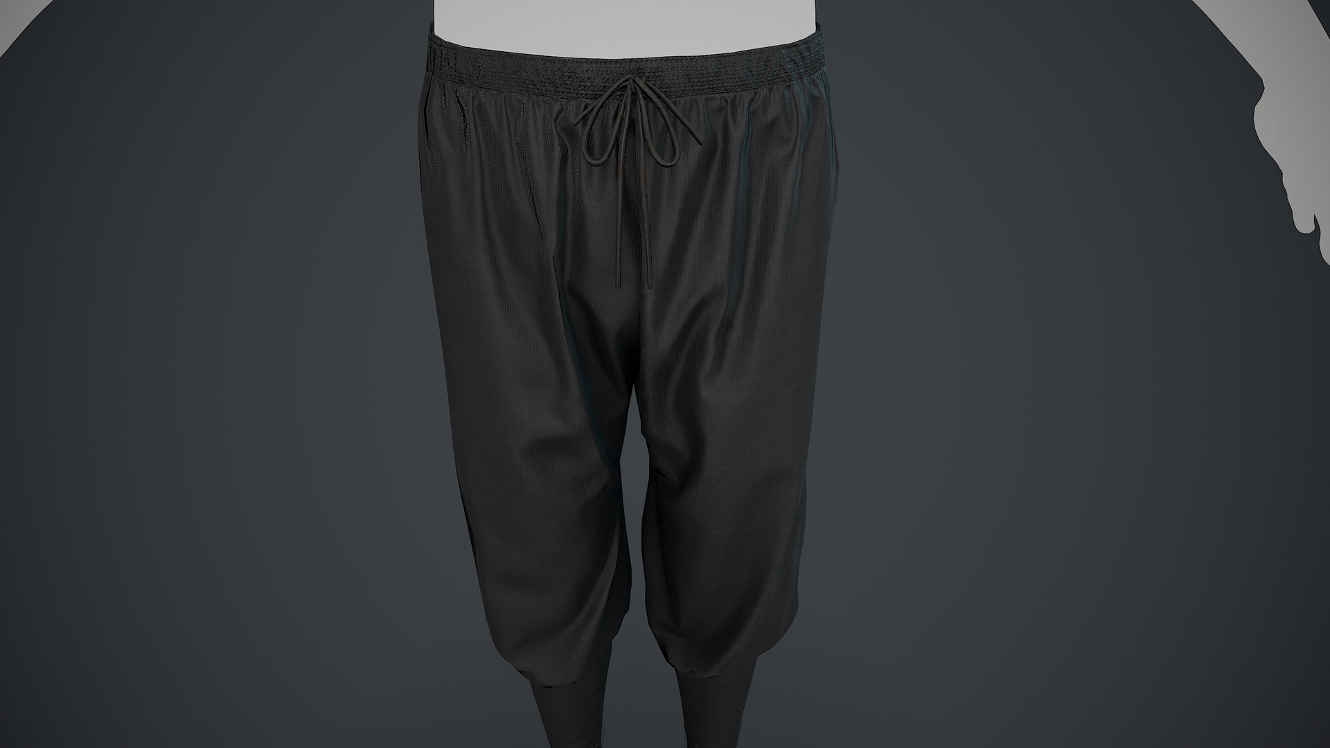 Black Medieval Pants 3D - TurboSquid 2173043