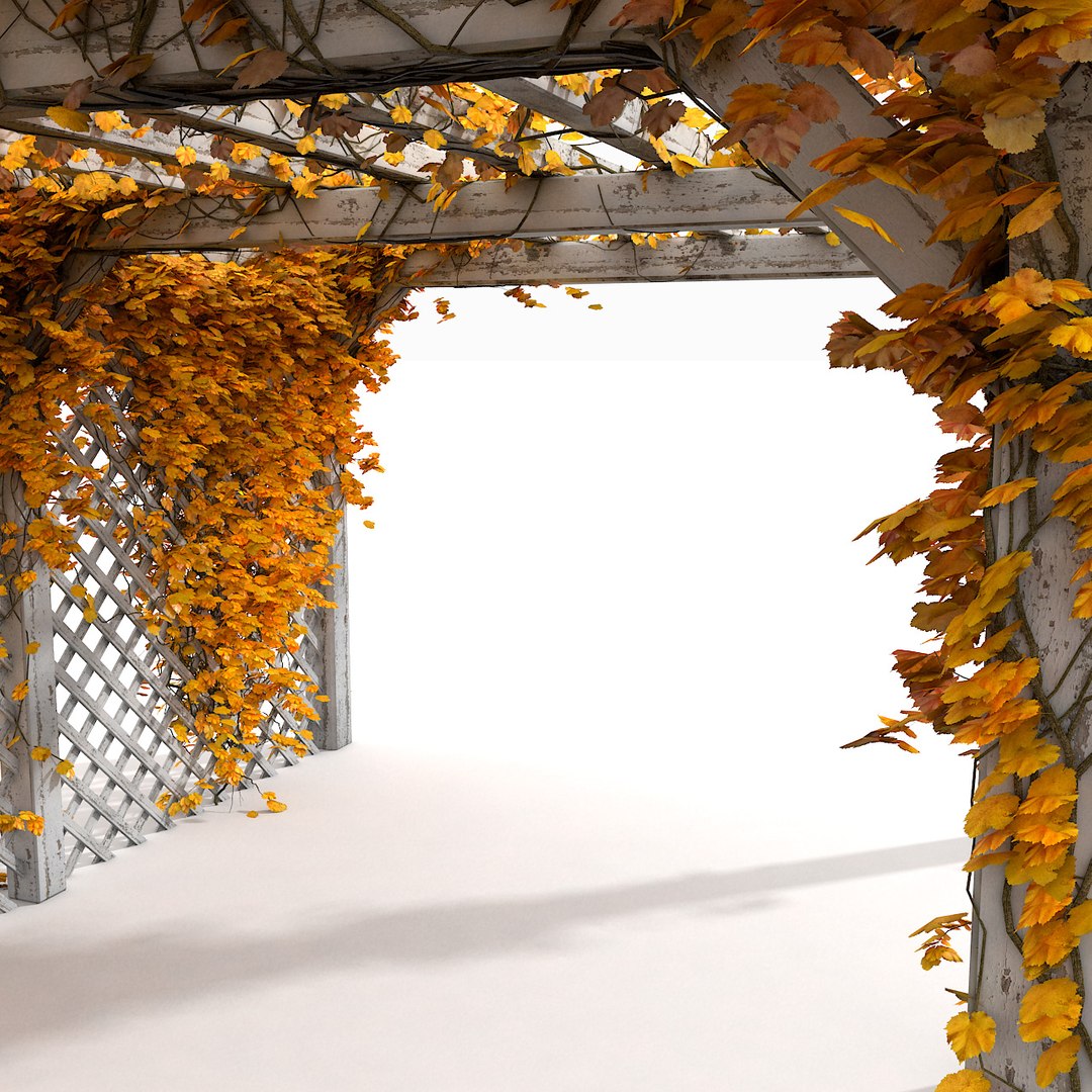 3ds Max Garden Fall