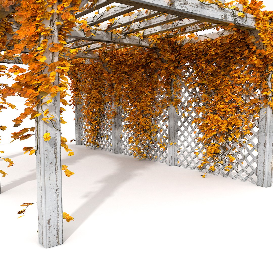 3ds Max Garden Fall