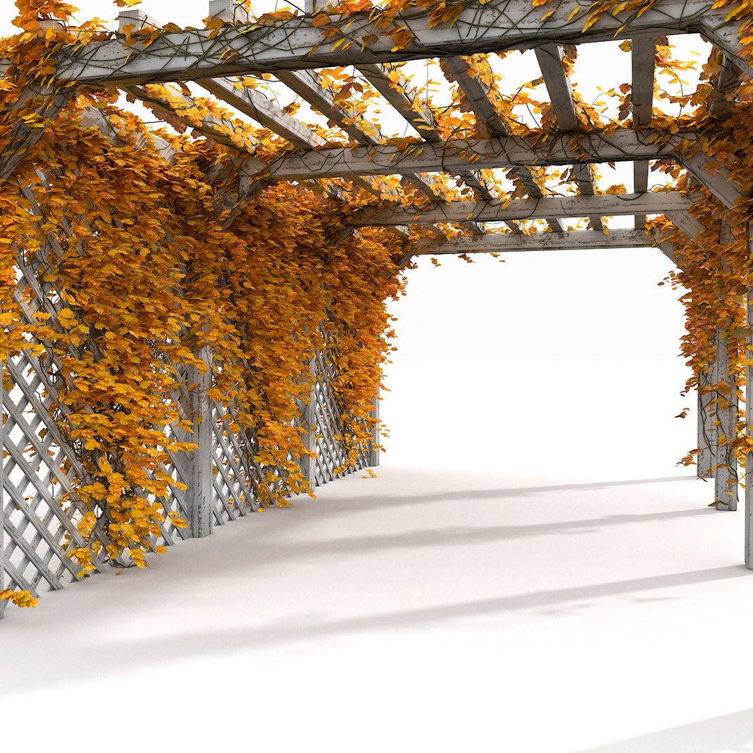3ds Max Garden Fall