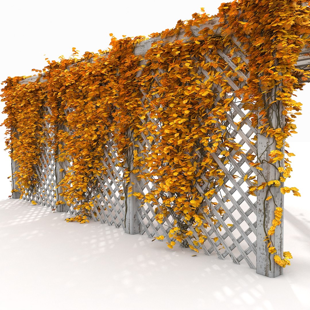 3ds Max Garden Fall