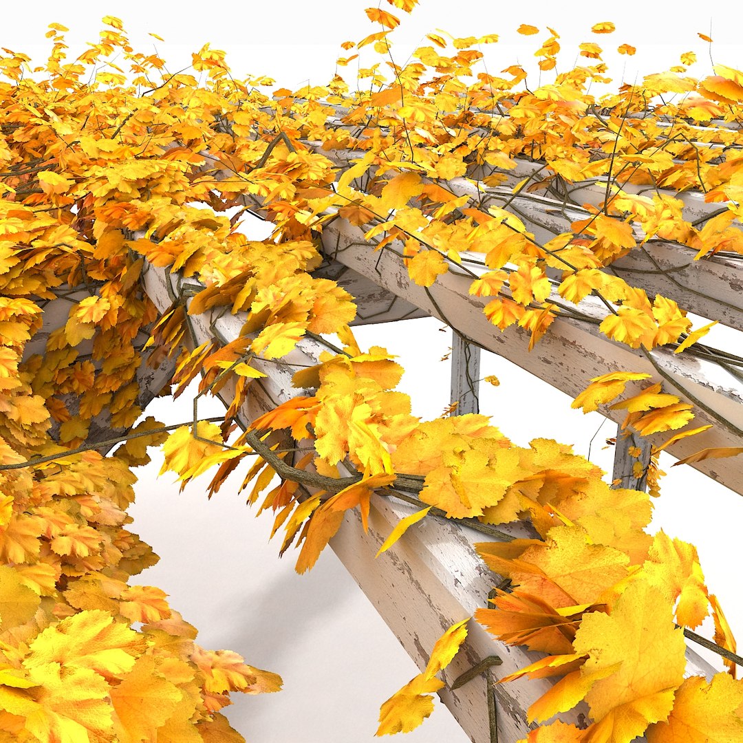 3ds Max Garden Fall