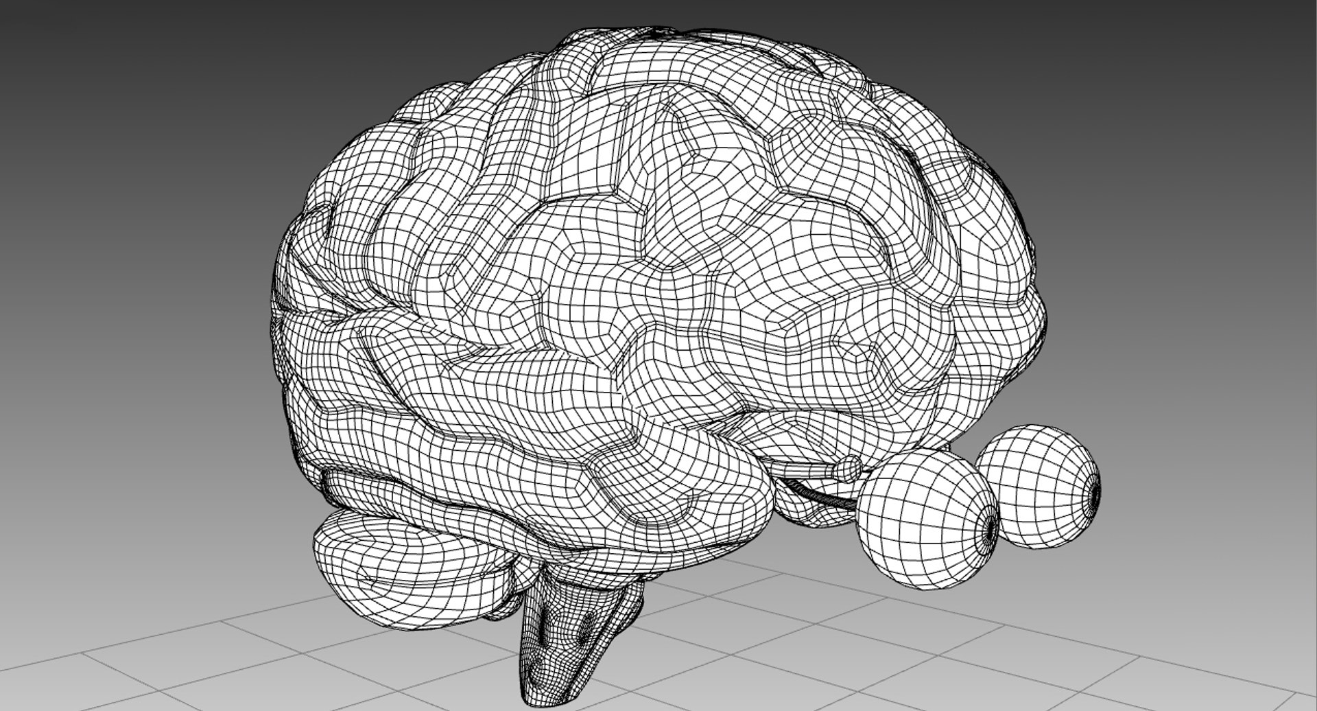 3D brain - TurboSquid 782730