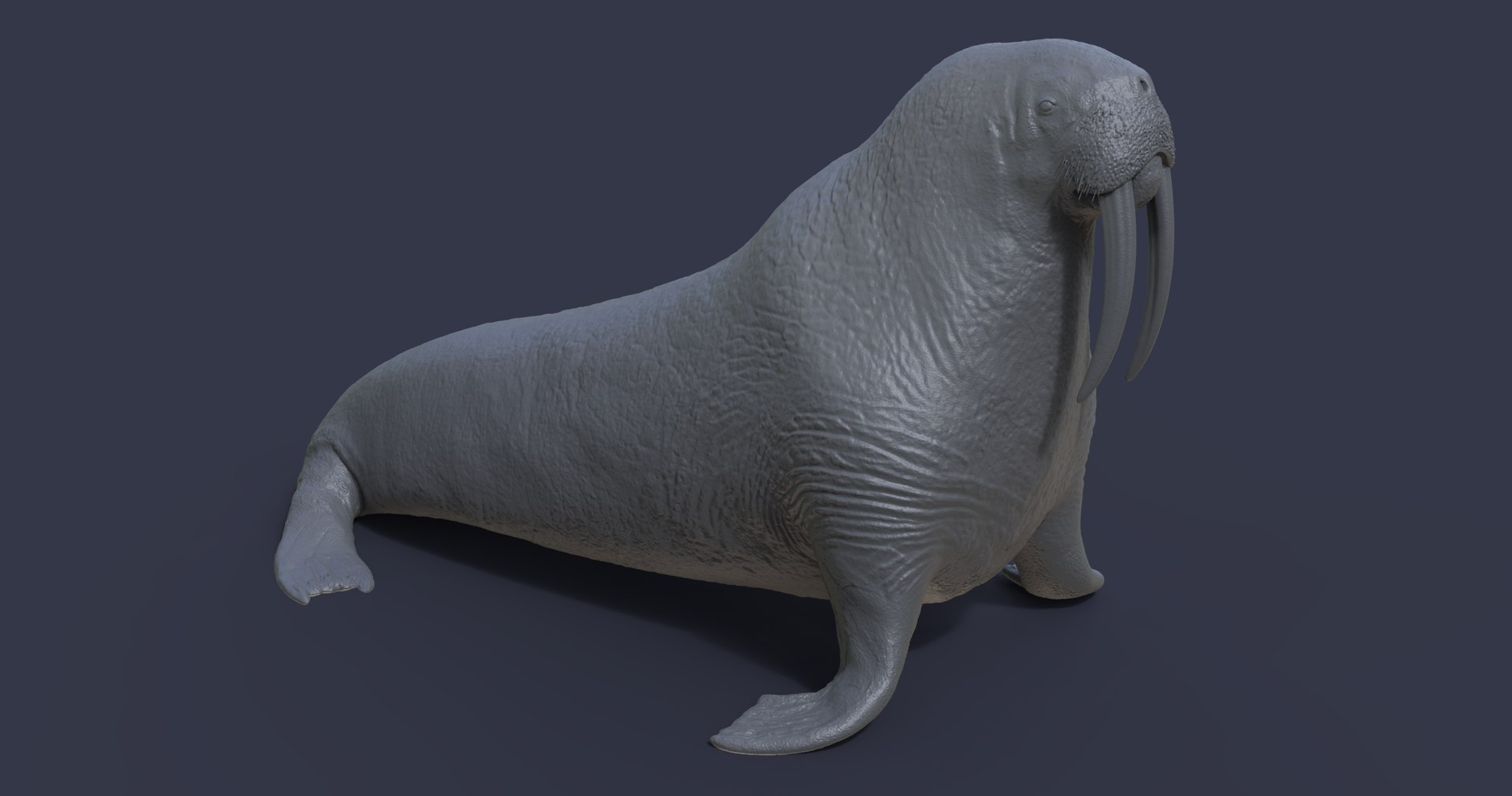 Walrus 3D Print Model 3D - TurboSquid 1723144