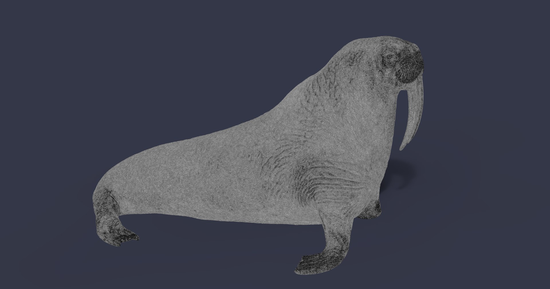 Walrus 3D Print Model 3D - TurboSquid 1723144