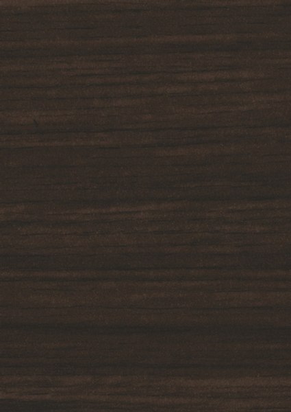 free case showcase 3d model