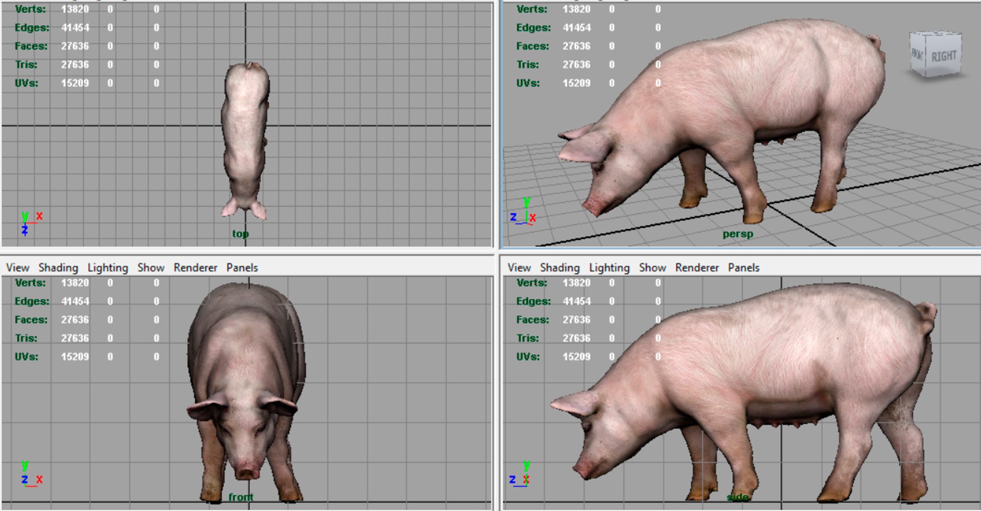 Sow 3D Model - TurboSquid 1169591