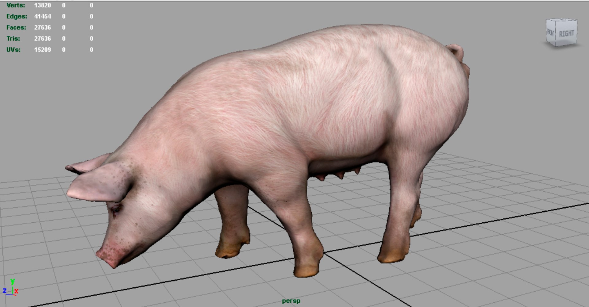 Sow 3D Model - TurboSquid 1169591