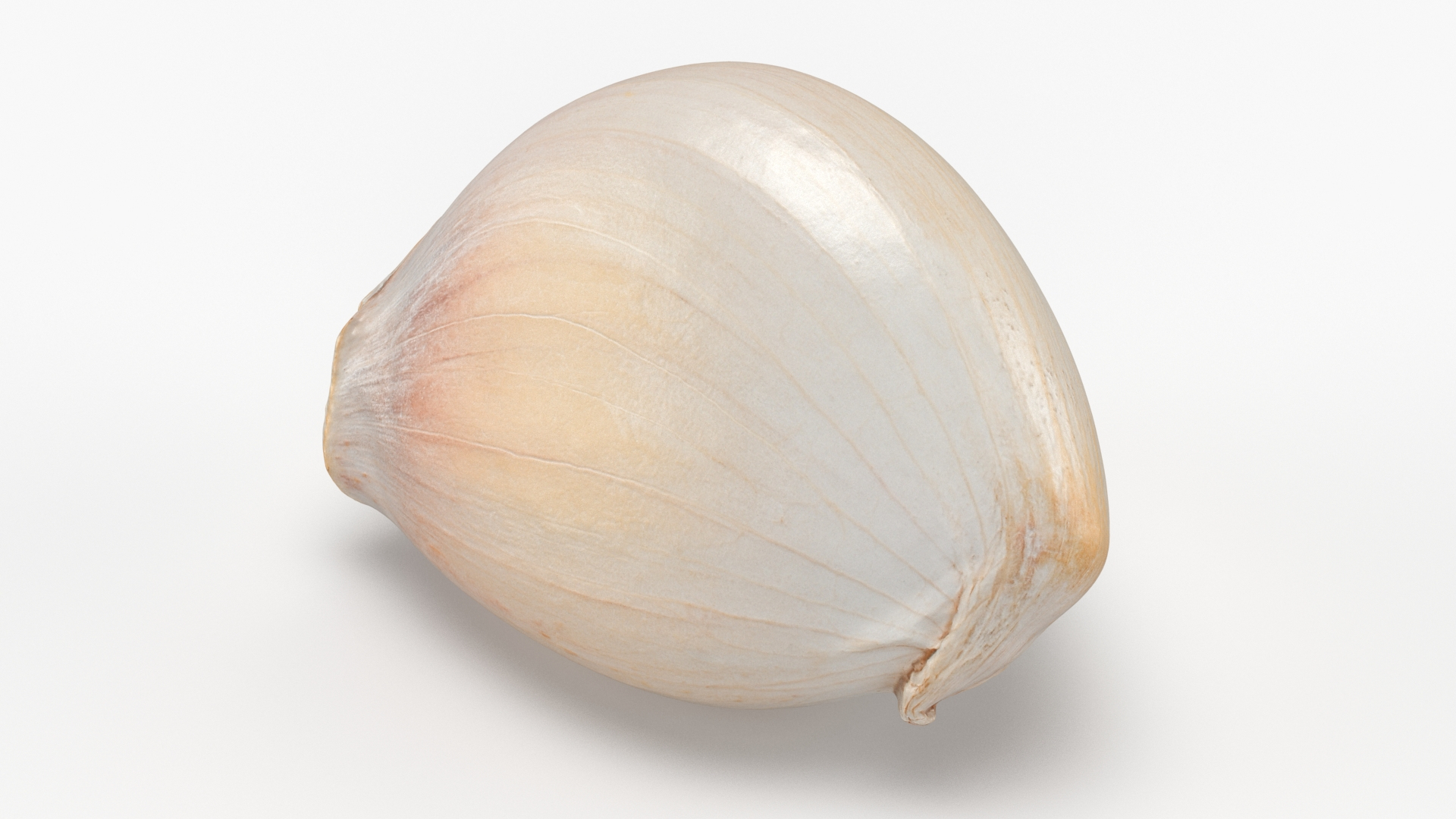Garlic Collection 2 3D Model - TurboSquid 1965936