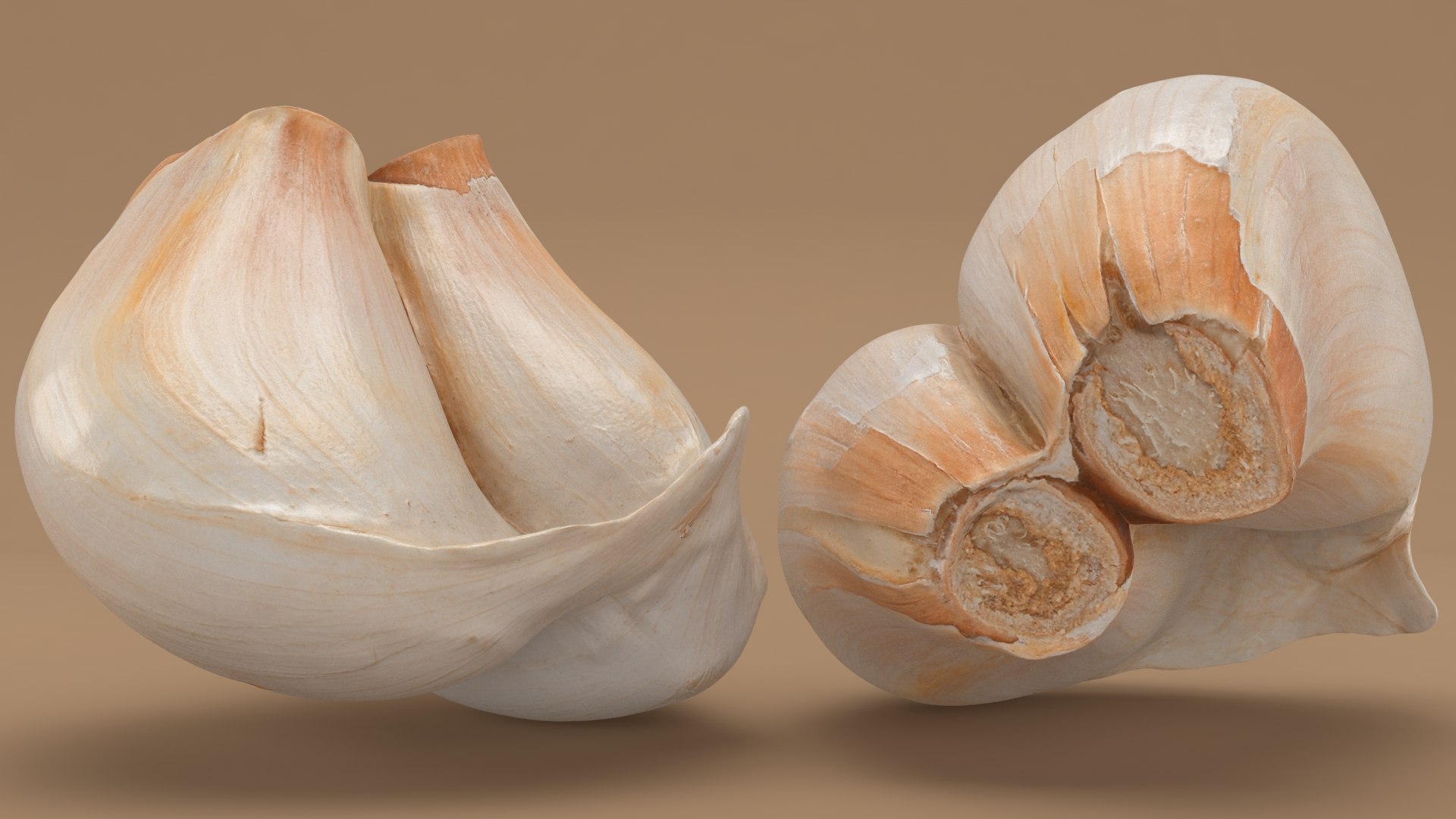 Garlic Collection 2 3D model - TurboSquid 1965936