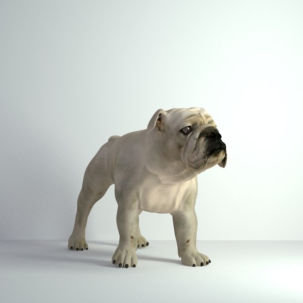 realistic bulldog 3d model