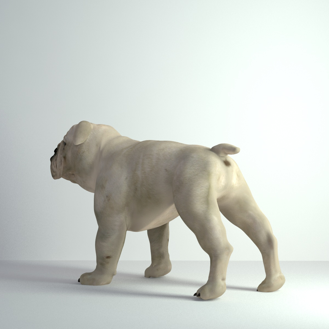 realistic bulldog 3d model
