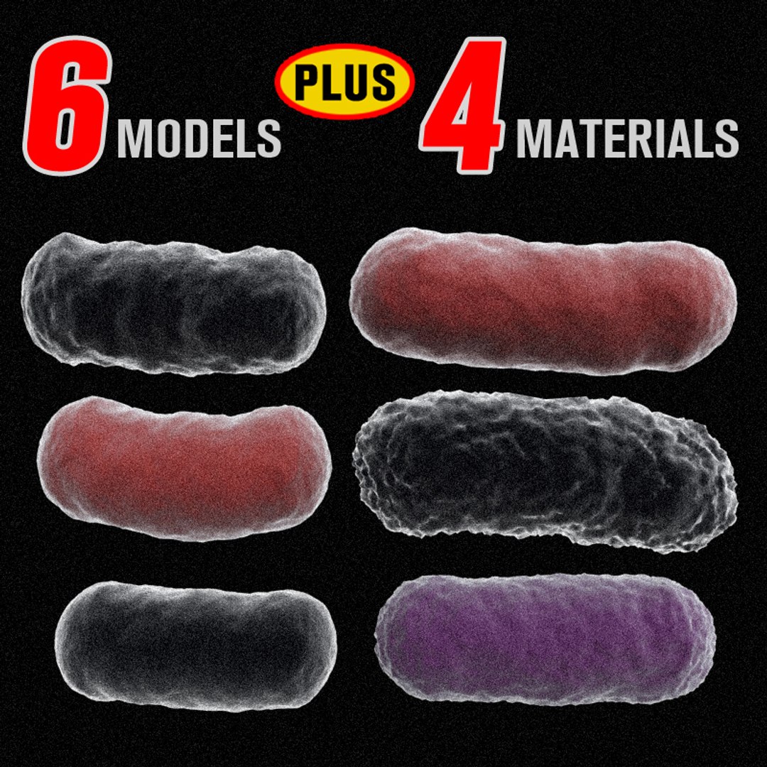 Set Bacillus Bacteria Max