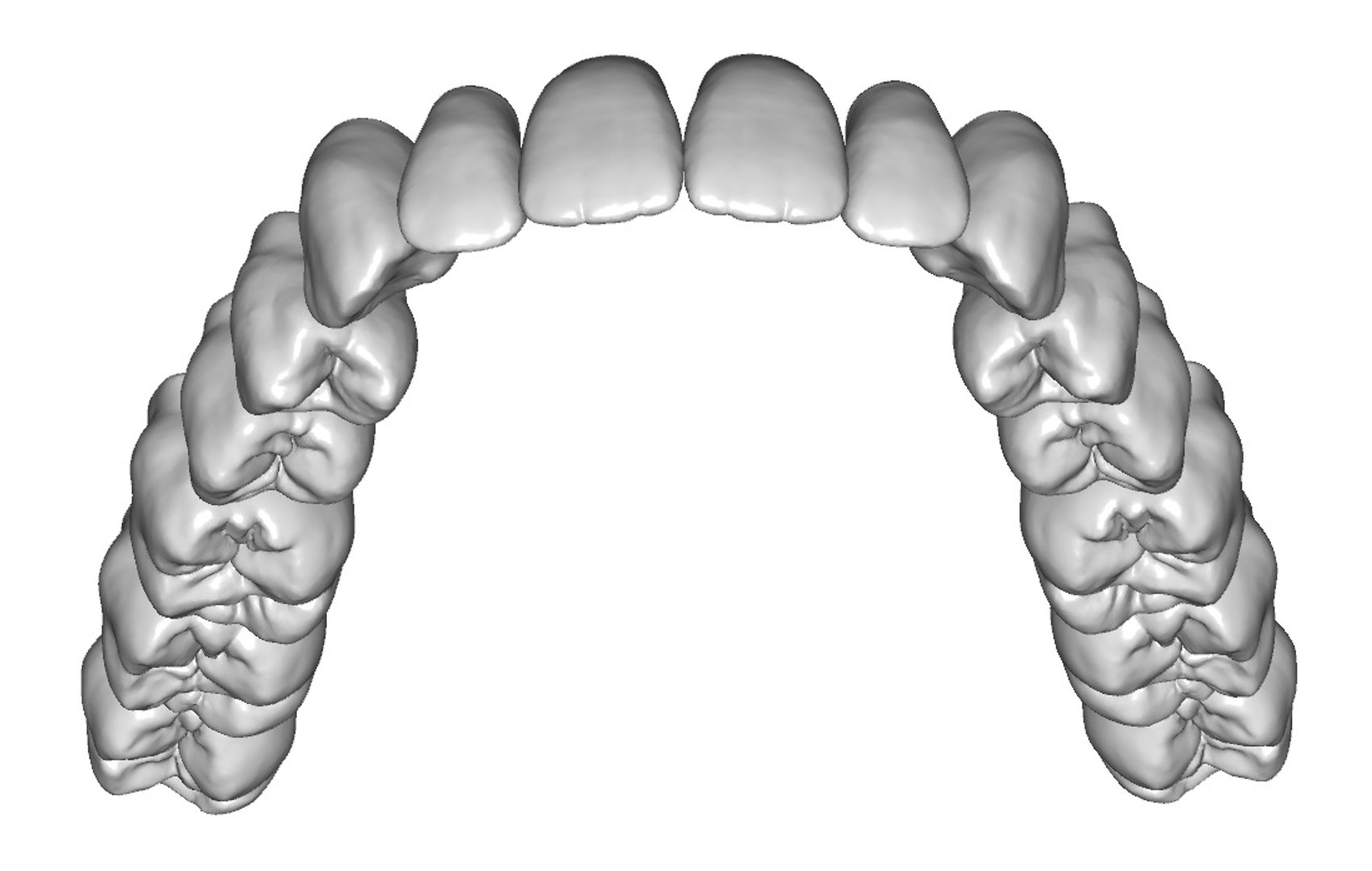 3d Upper Lower Jaw Teeth Anatomy Model