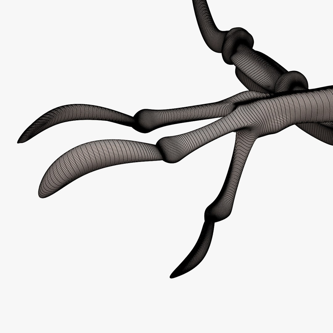 Max Alien Concept 2016