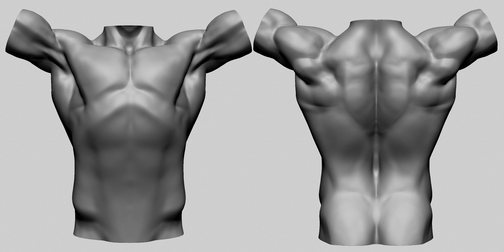 Base Male Torso A 3D Model - TurboSquid 2204851