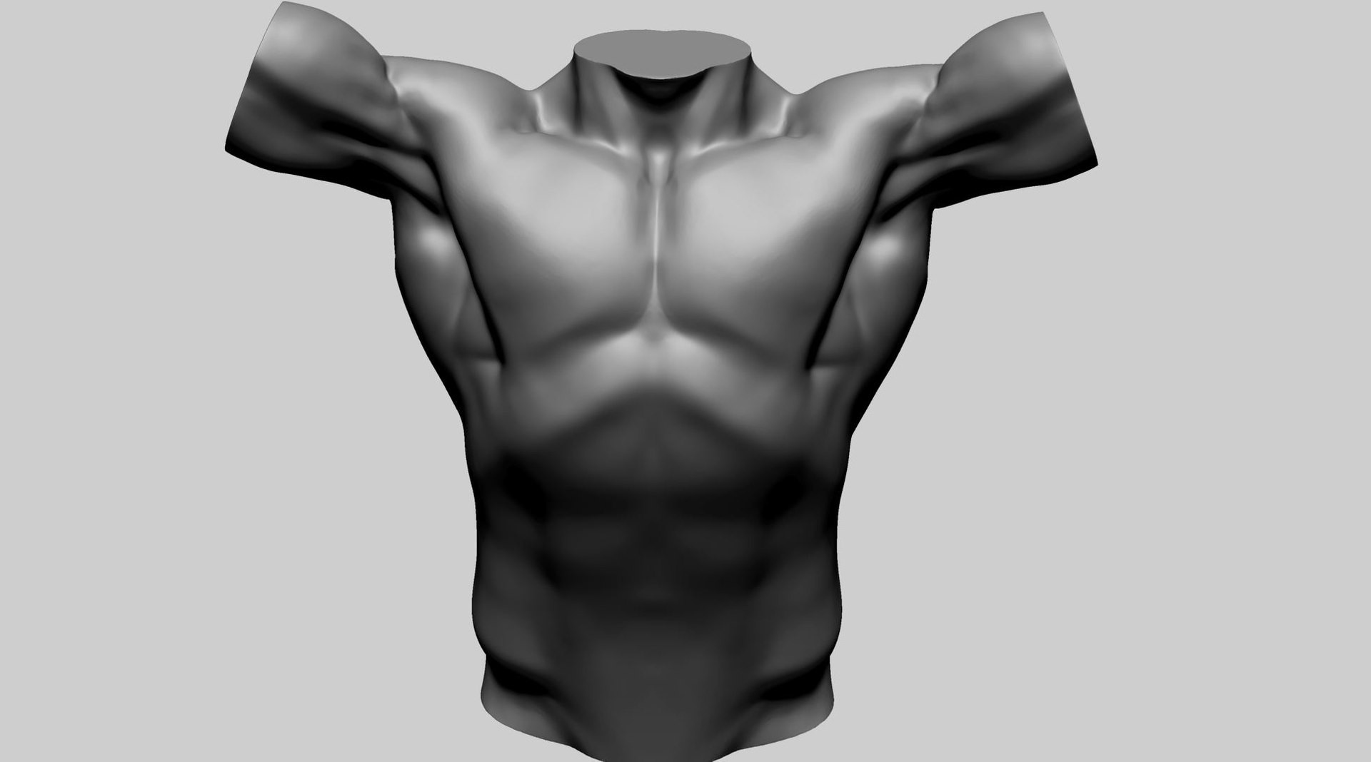 Base Male Torso A 3D Model - TurboSquid 2204851