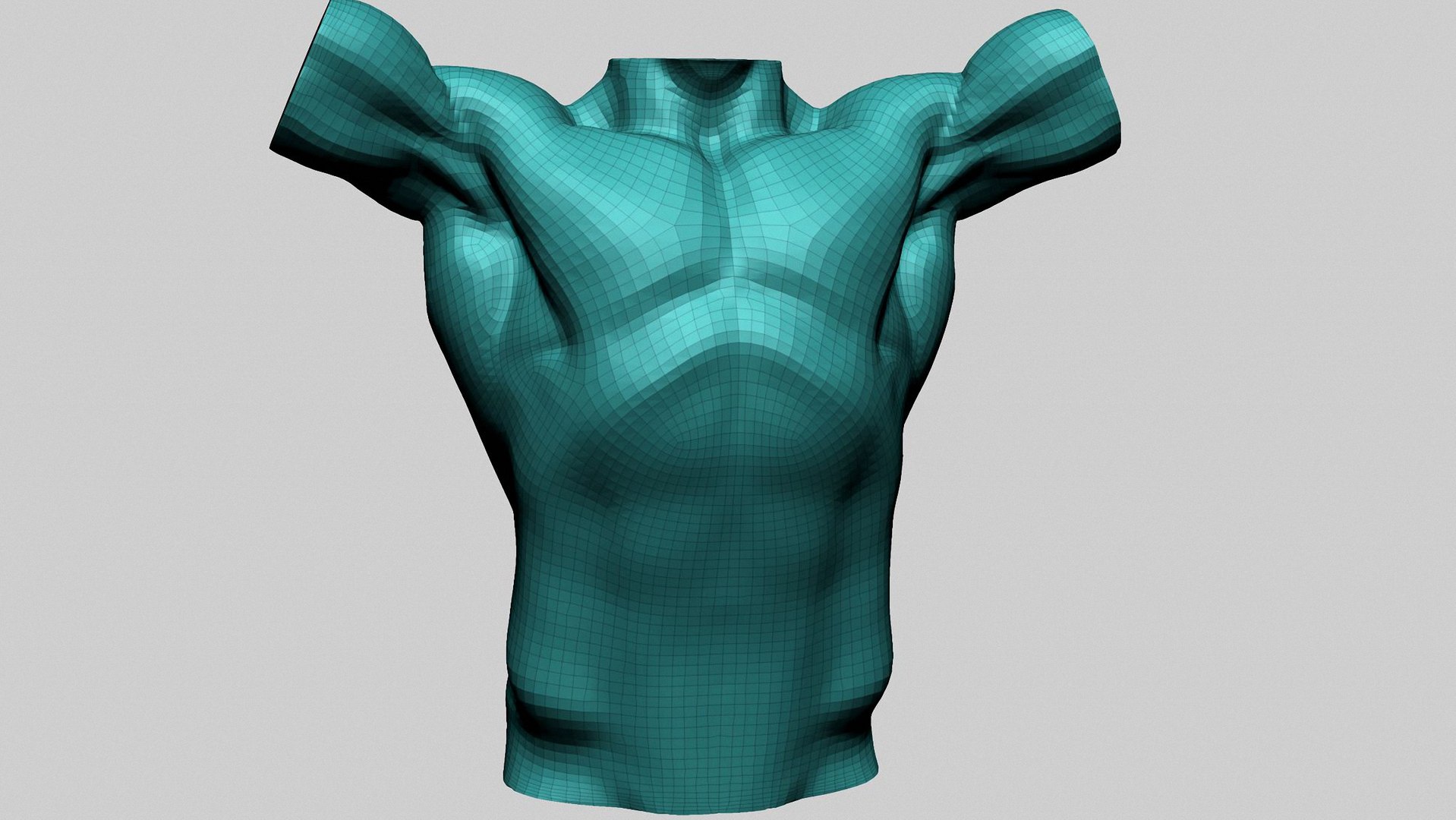Base Male Torso A 3D Model - TurboSquid 2204851