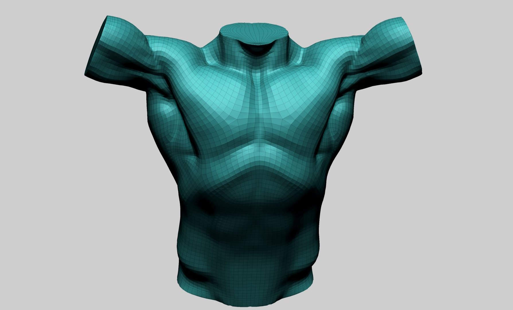 Base Male Torso A 3D Model - TurboSquid 2204851