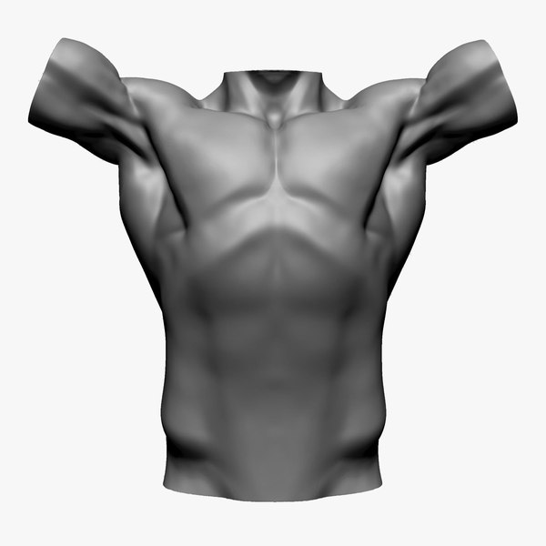 modelo 3d Torso masculino base A - TurboSquid 2204851