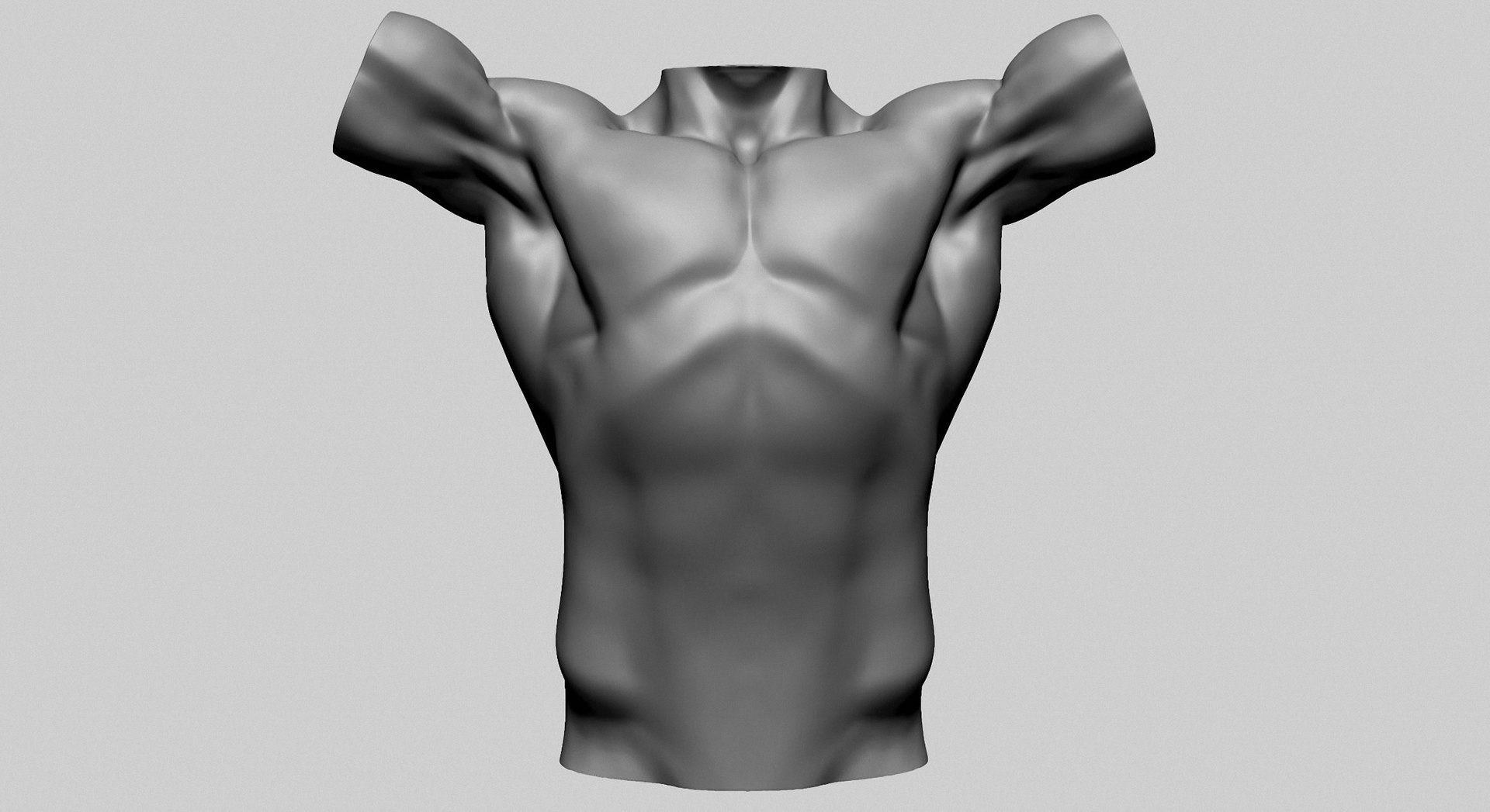 Base Male Torso A 3D Model - TurboSquid 2204851