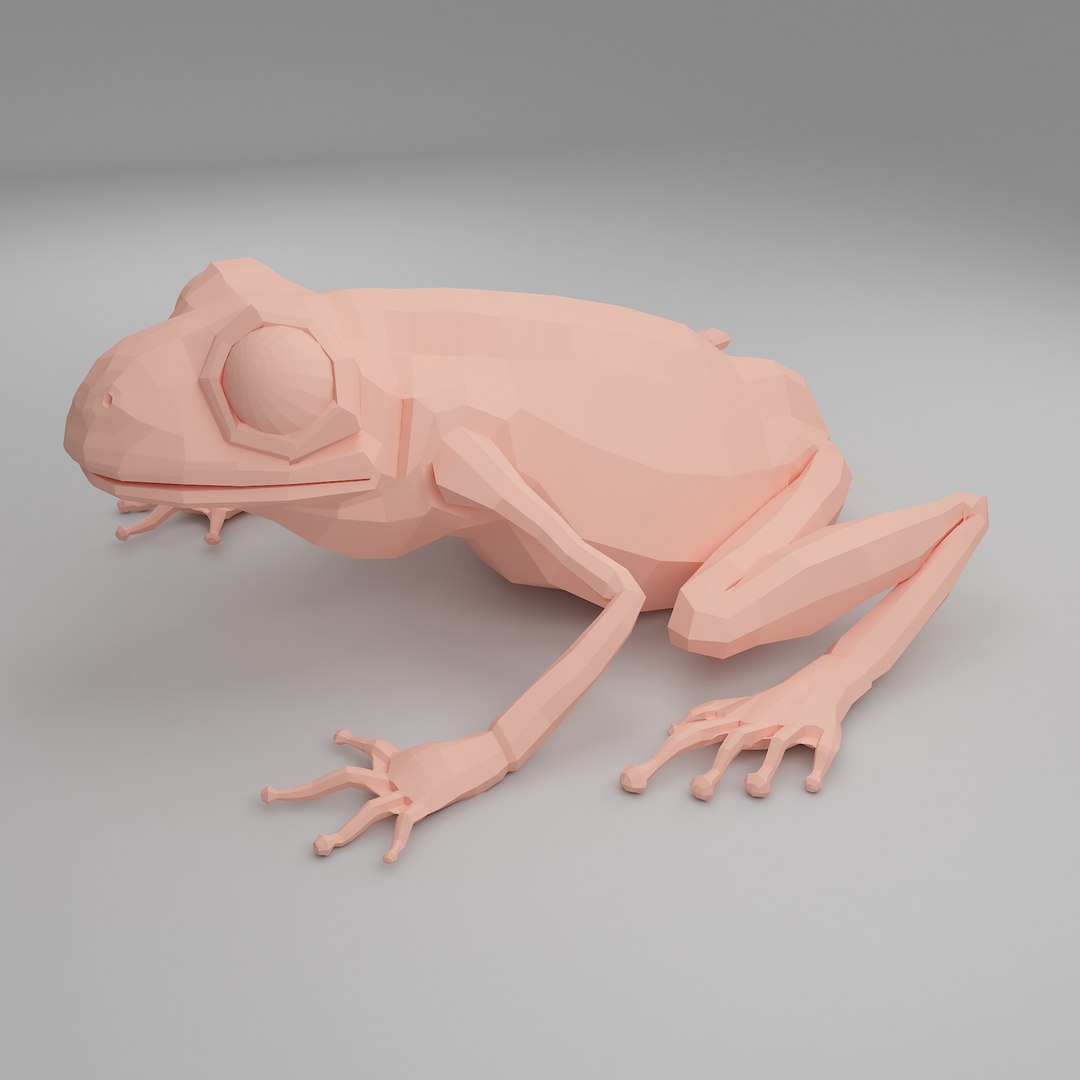 3D Frog Base Mesh Model - TurboSquid 1688230