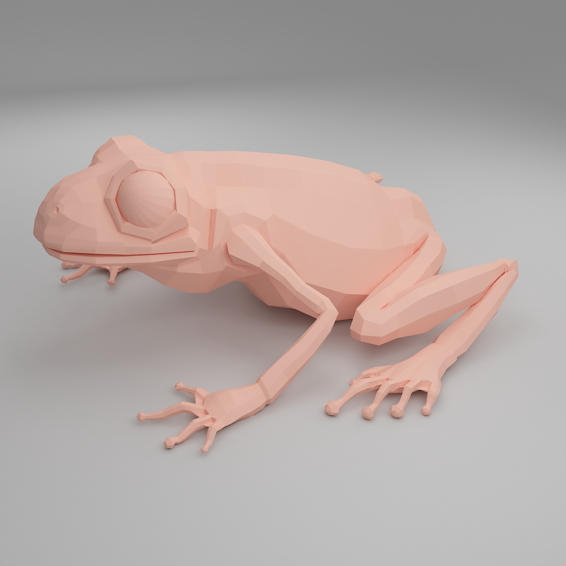 3D frog base mesh model - TurboSquid 1688230