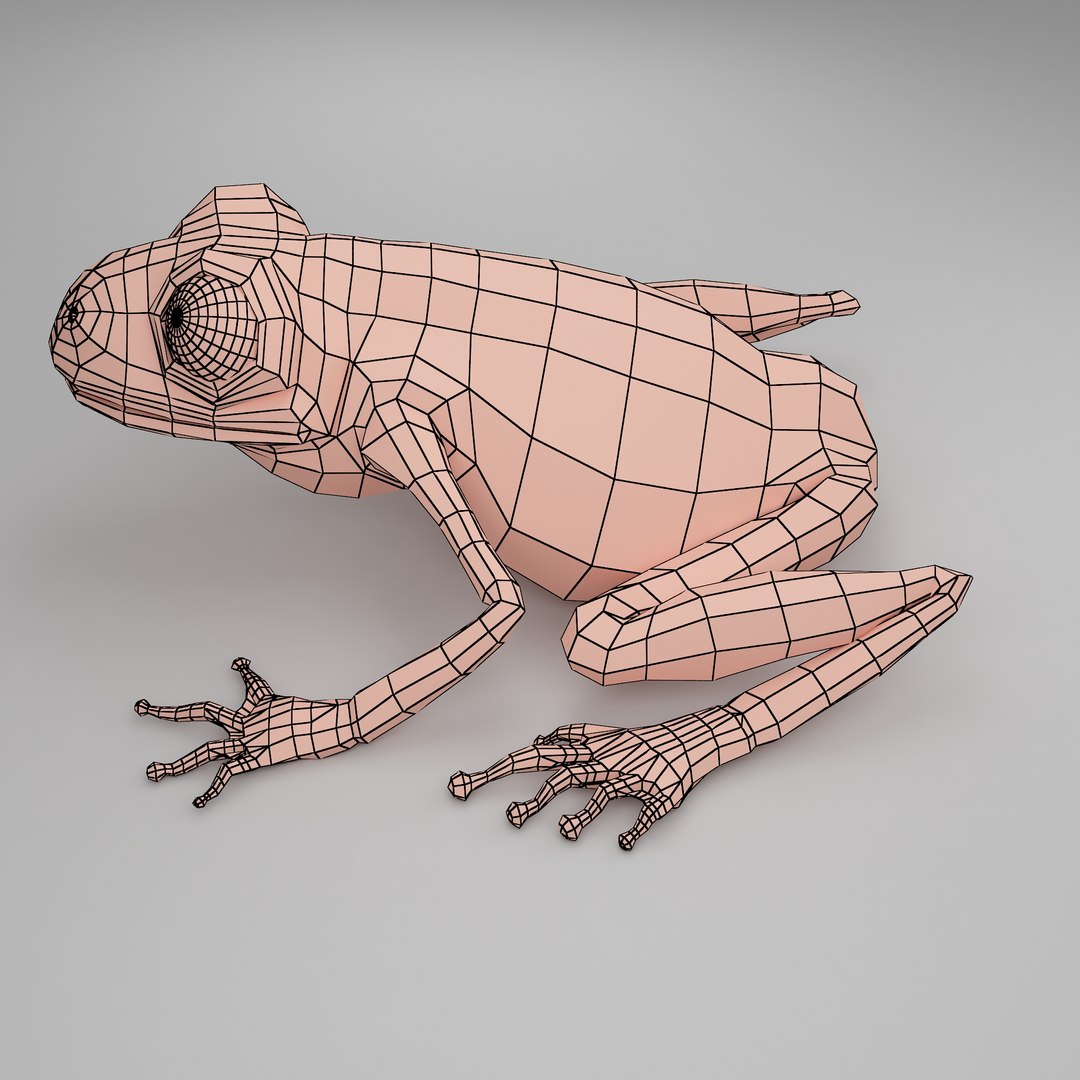 3D Frog Base Mesh Model - TurboSquid 1688230