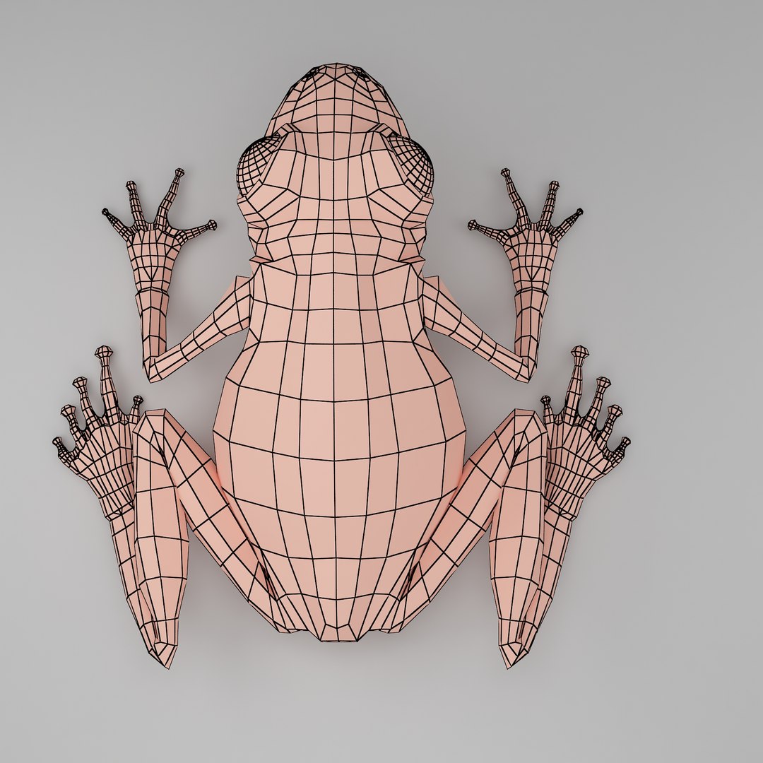 3D Frog Base Mesh Model - TurboSquid 1688230