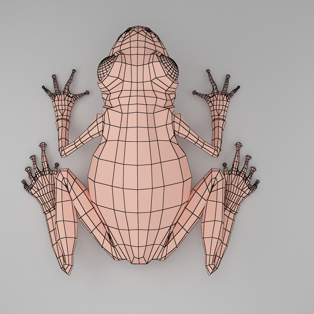 3D frog base mesh model - TurboSquid 1688230