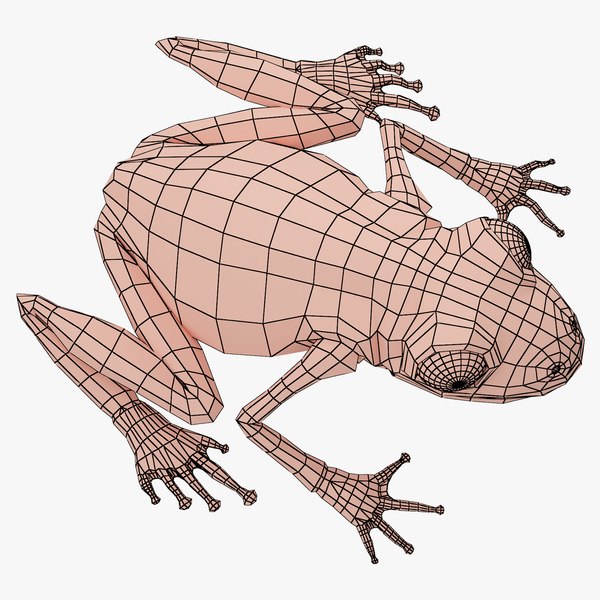 3D frog base mesh model - TurboSquid 1688230