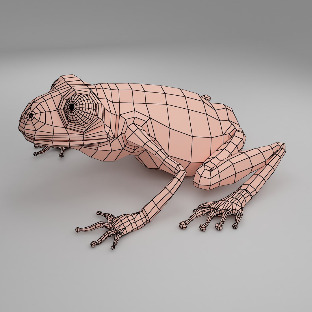3D Frog Base Mesh Model - TurboSquid 1688230