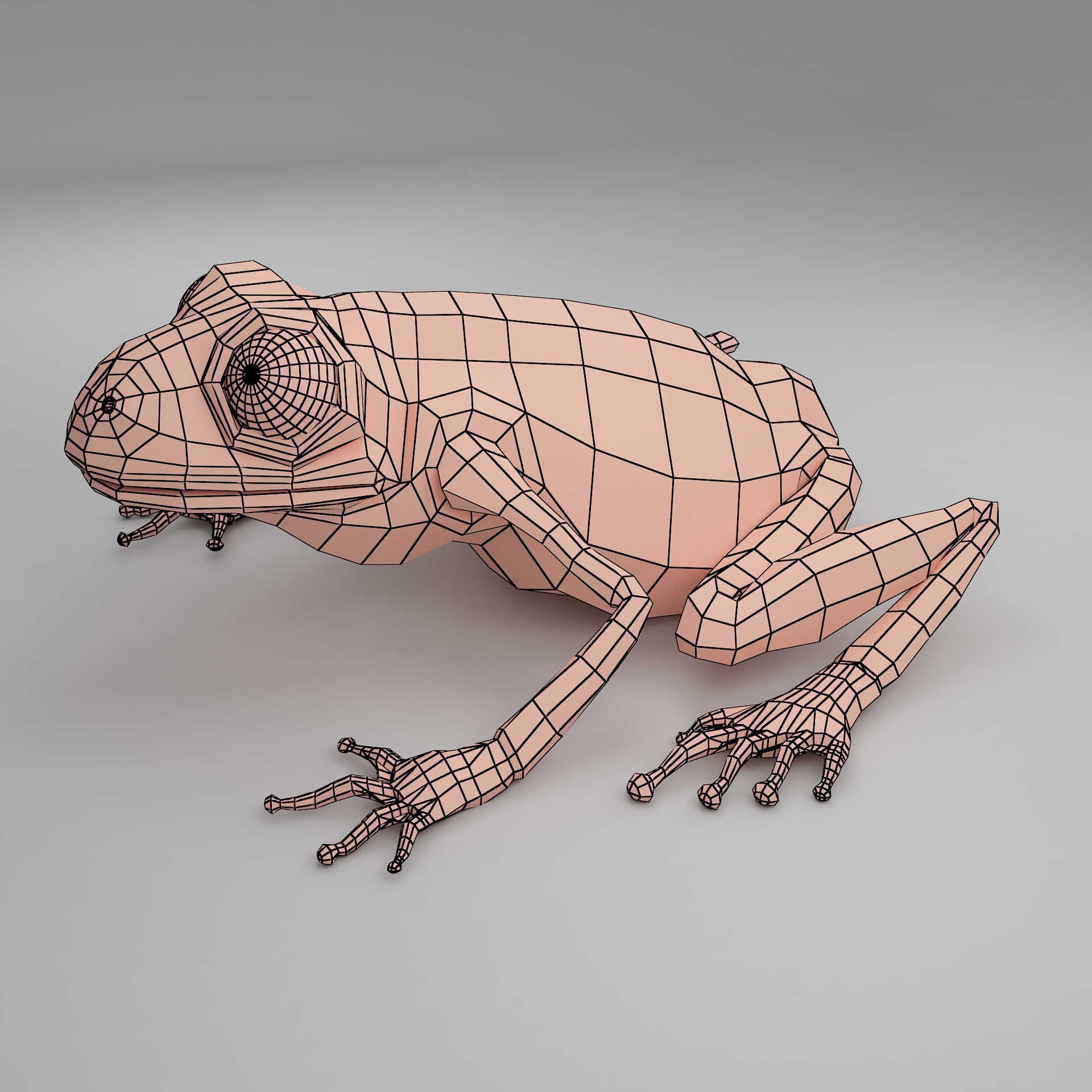 3D frog base mesh model - TurboSquid 1688230