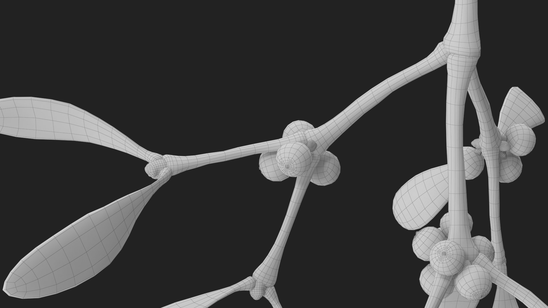 3D model Mistletoe 1 - TurboSquid 1803906