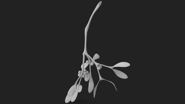 3D model Mistletoe 1 - TurboSquid 1803906