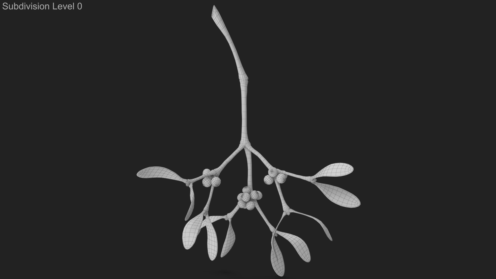 3D model Mistletoe 1 - TurboSquid 1803906