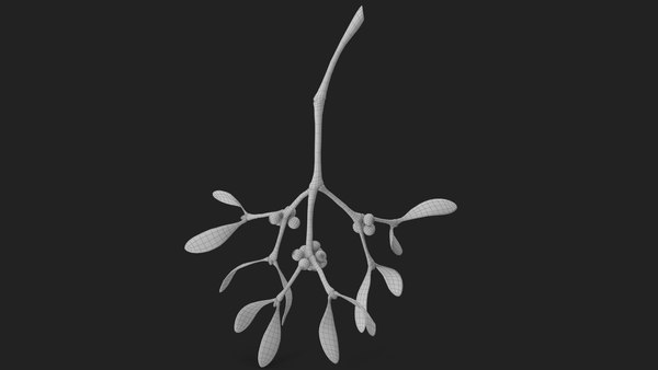 3D model Mistletoe 1 - TurboSquid 1803906