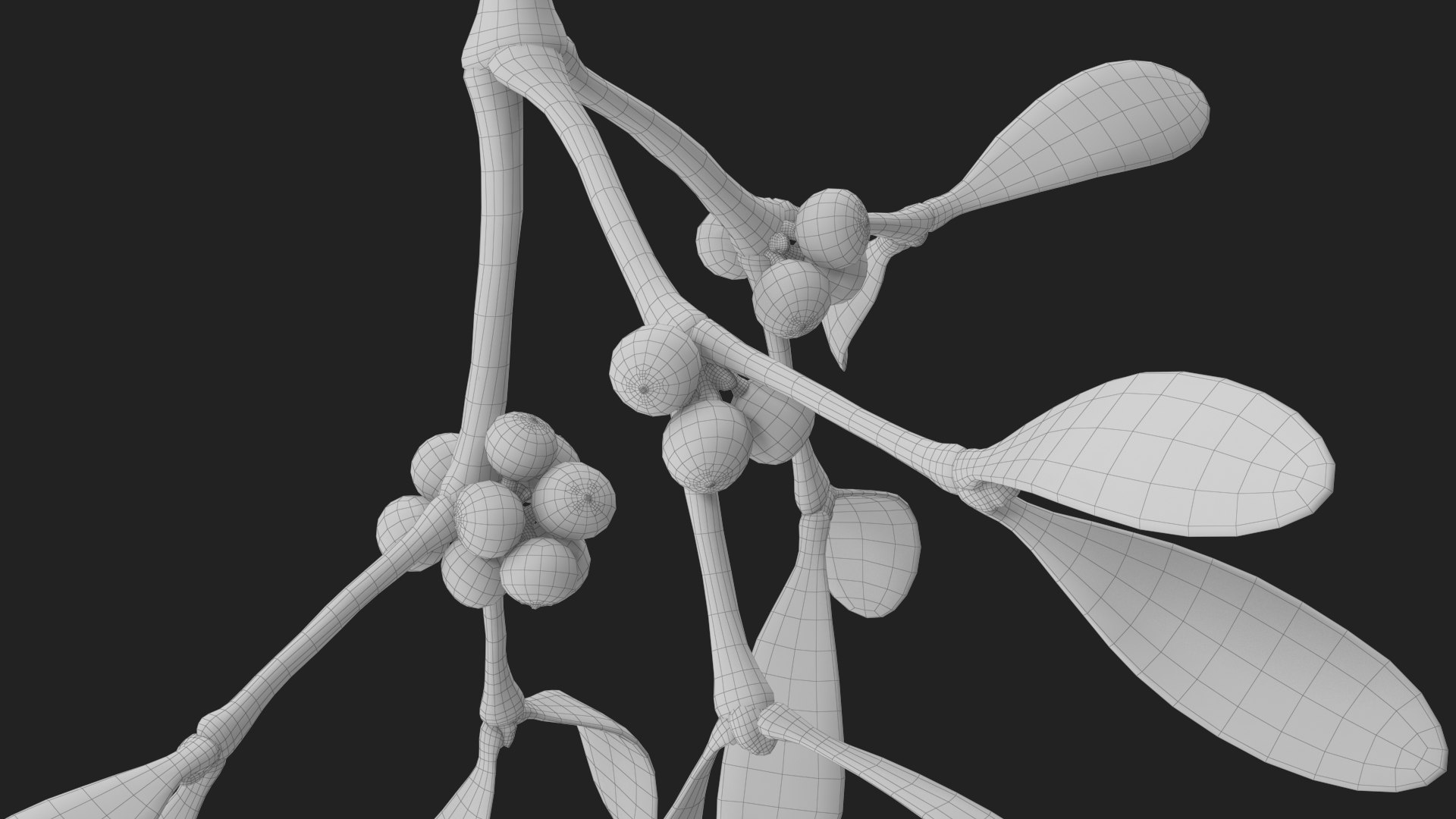 3D model Mistletoe 1 - TurboSquid 1803906