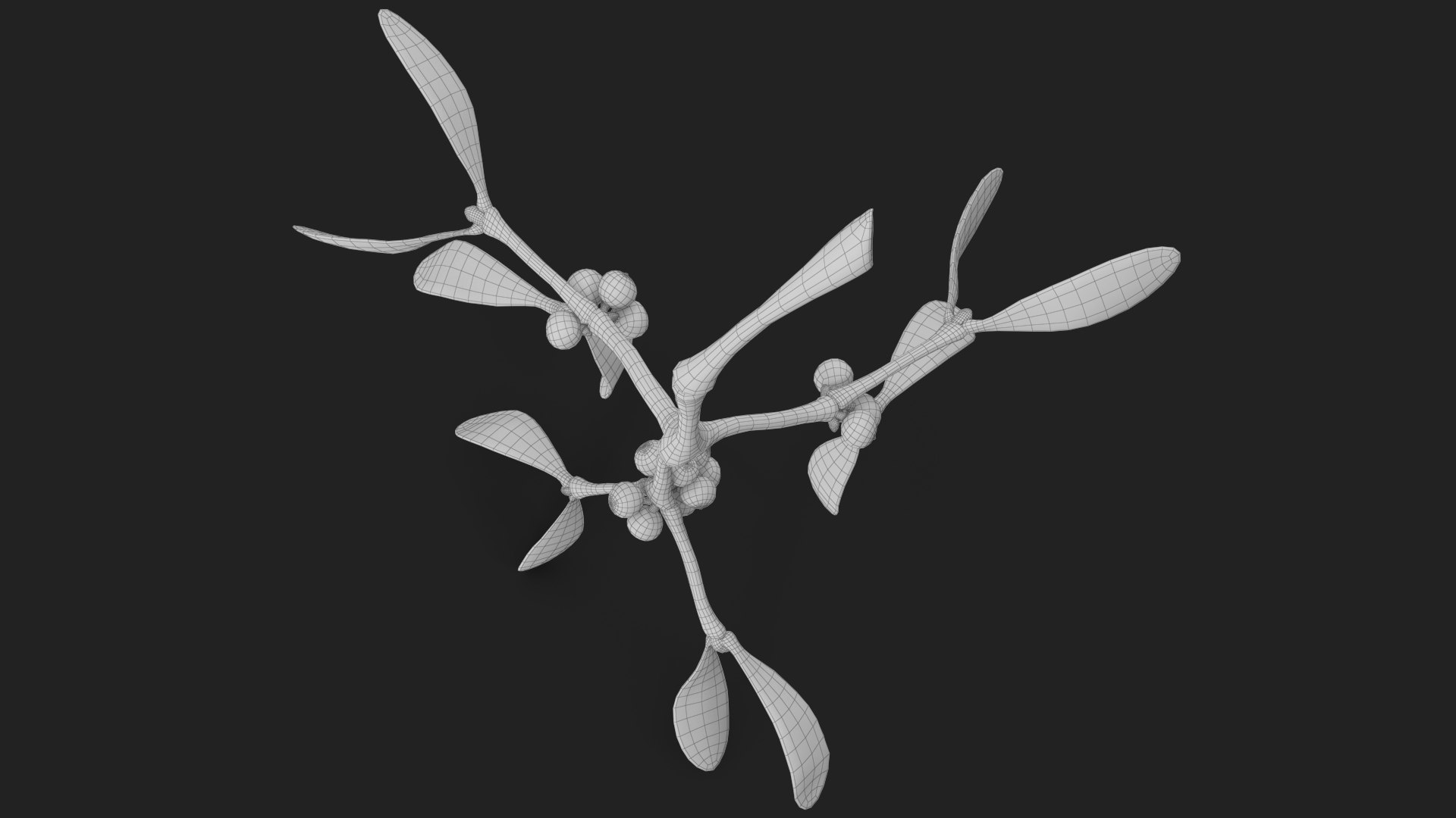 3D model Mistletoe 1 - TurboSquid 1803906