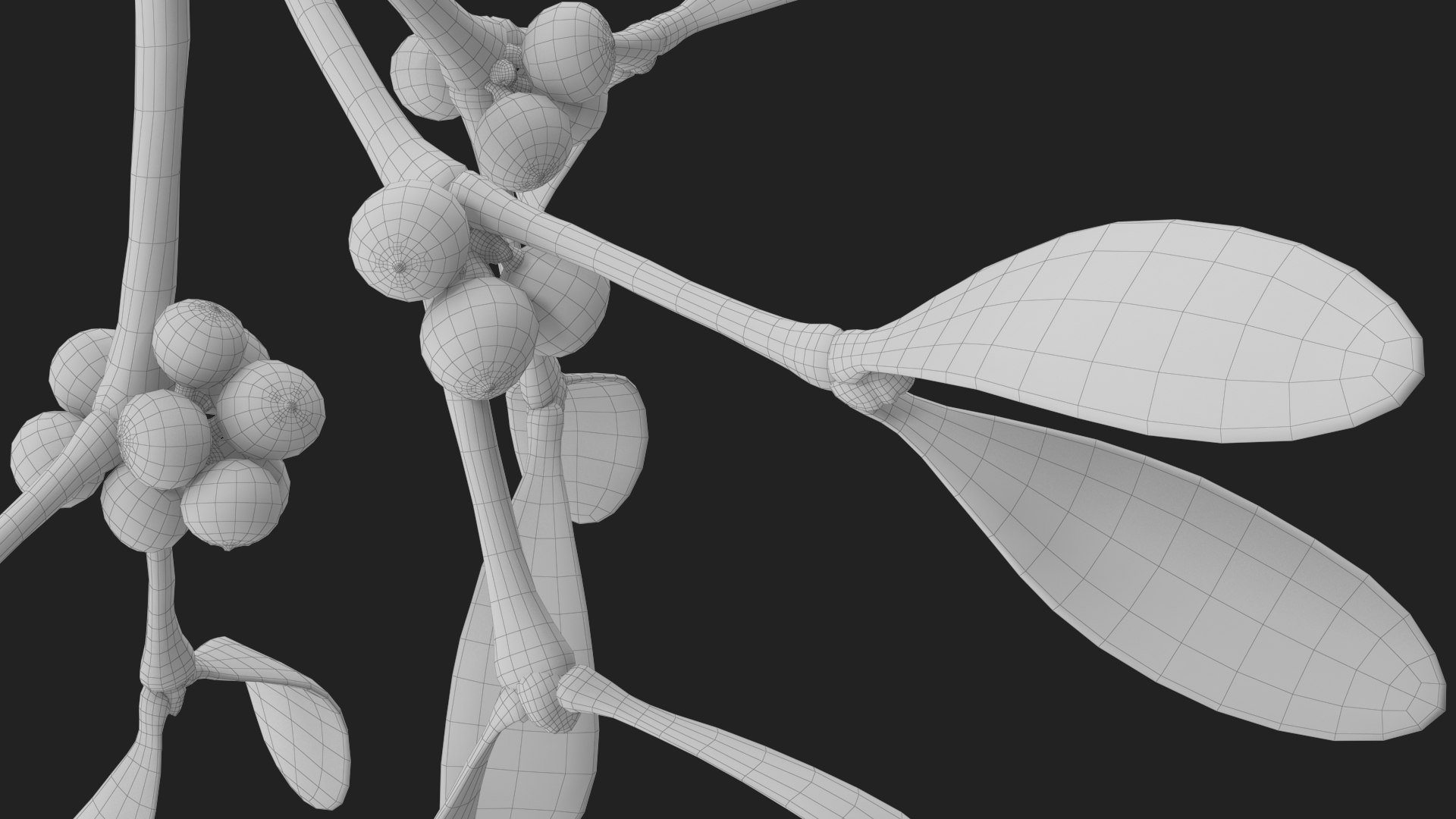 3D model Mistletoe 1 - TurboSquid 1803906