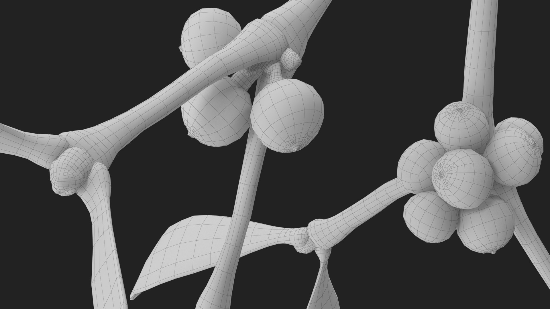 3D model Mistletoe 1 - TurboSquid 1803906