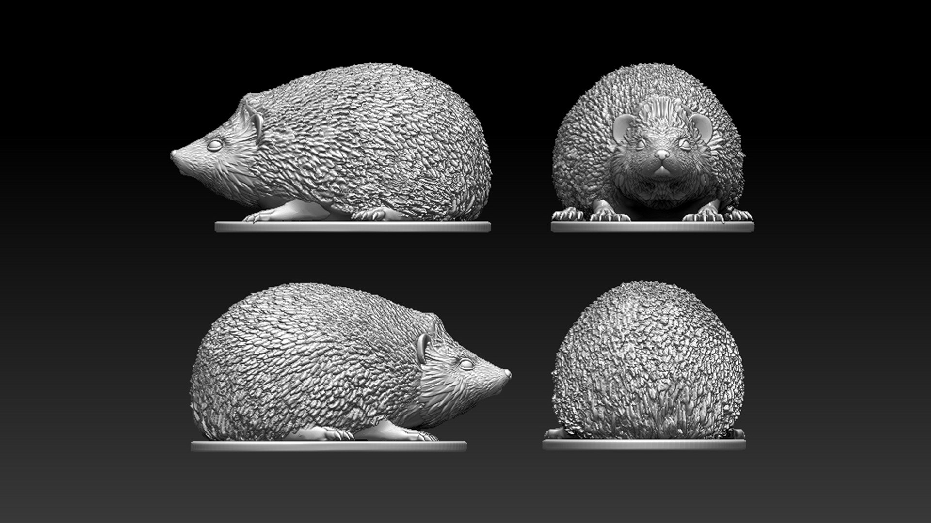 3D HEDGEHOG Model - TurboSquid 1901339