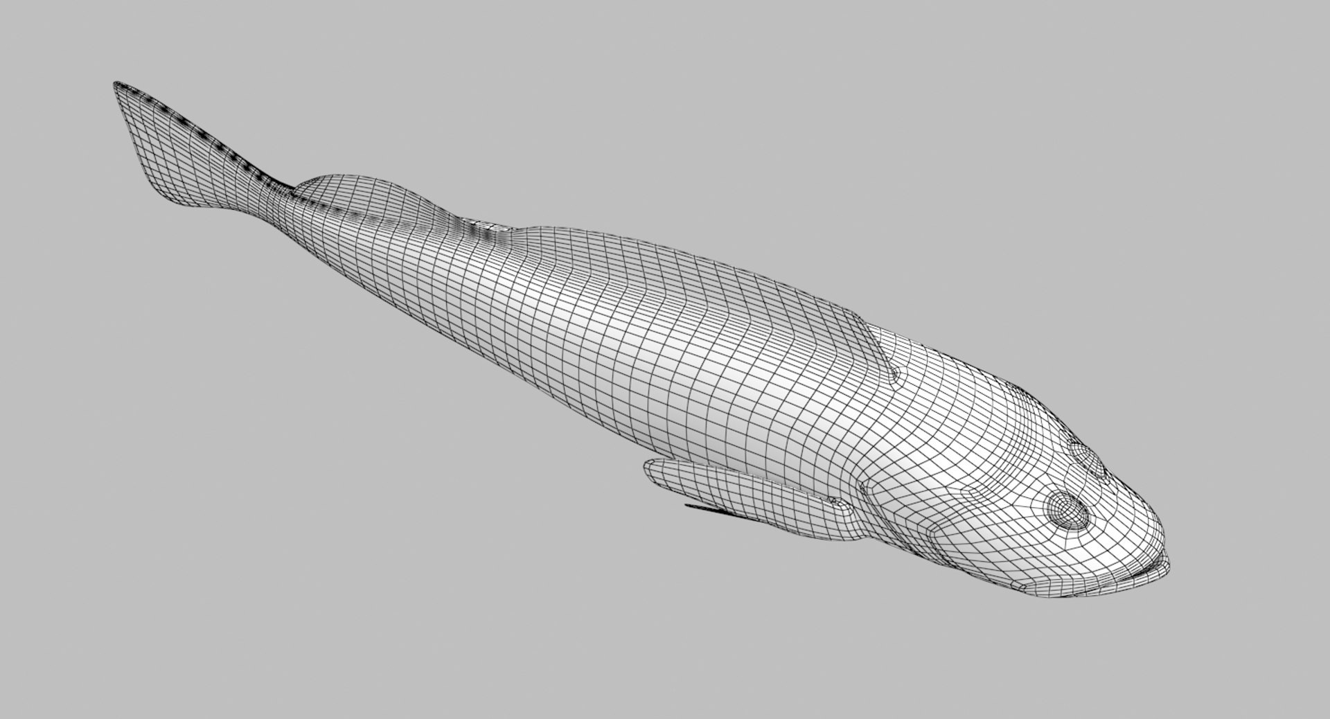 3D Lingcod Ling Cod - TurboSquid 1223710