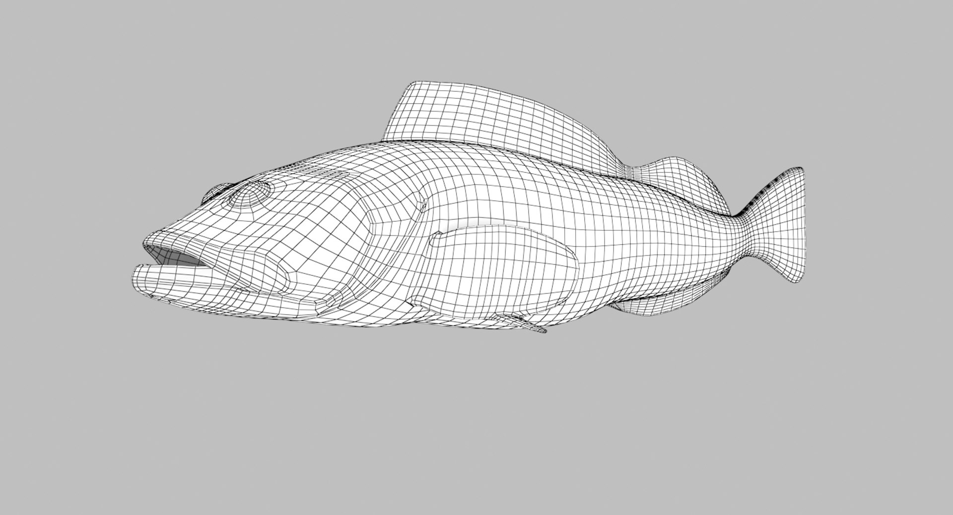 3D Lingcod Ling Cod - TurboSquid 1223710