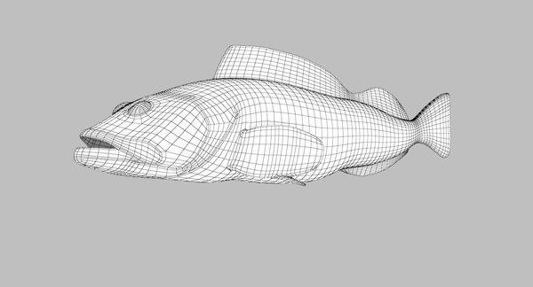modelo 3d Lingcod - TurboSquid 1223710