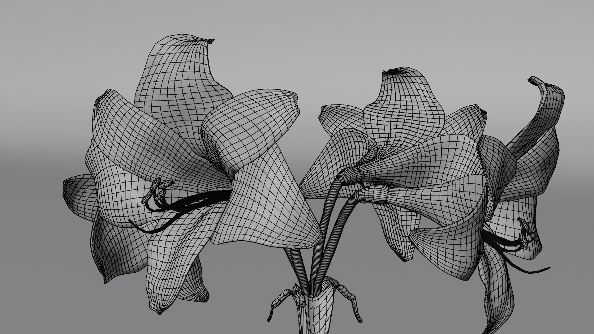 3D Red Amaryllis Model - TurboSquid 2211089