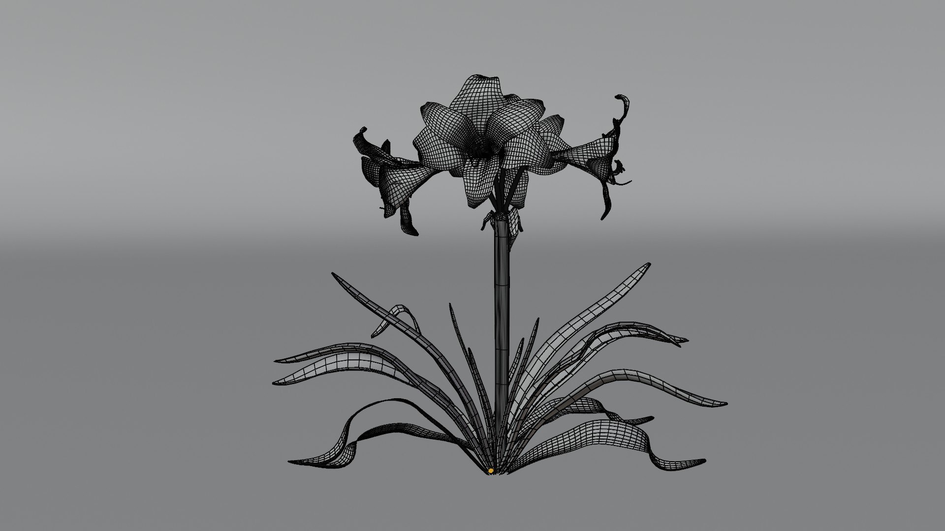 3D Red Amaryllis Model - TurboSquid 2211089
