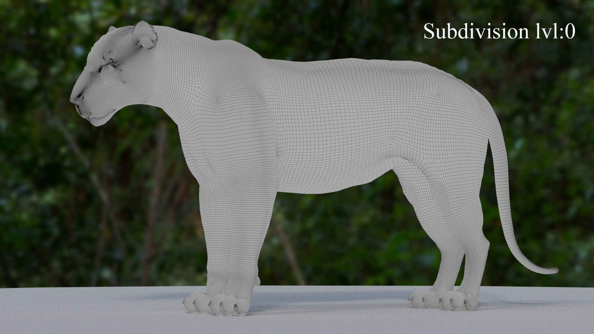 3D Tiger ANIMATION - TurboSquid 2178188