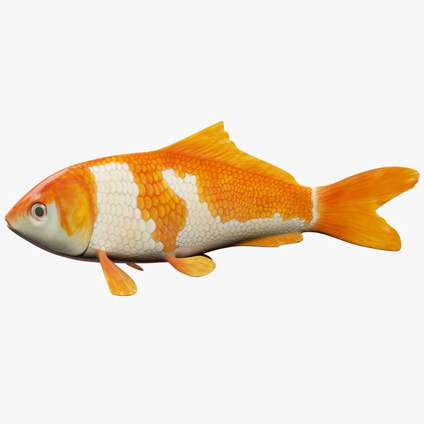 3d model koi fishes