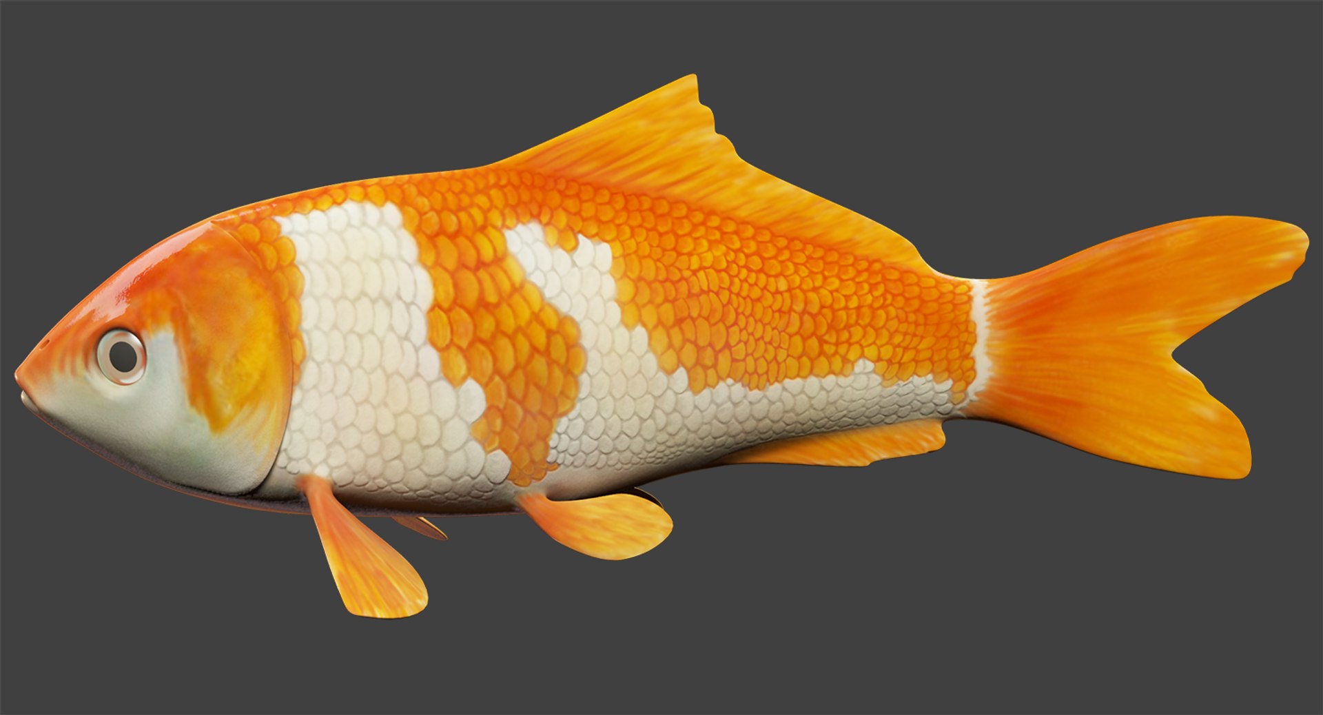 3d model koi carp